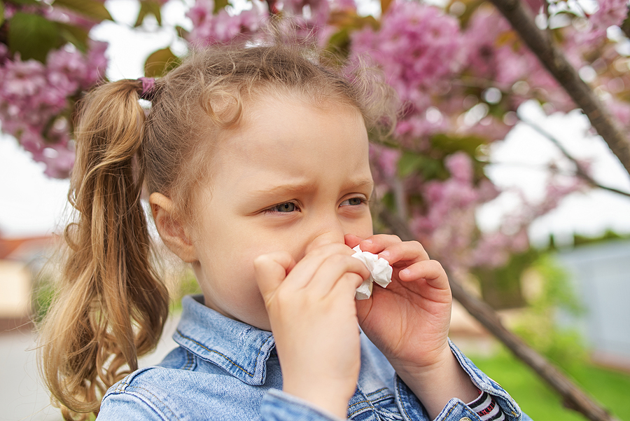 Seasonal Allergies - POP NOW